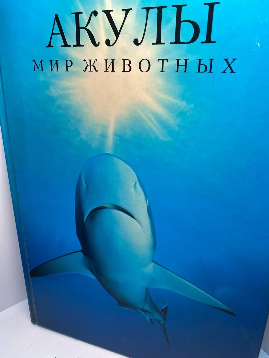 Книга Эндрю Клив Акулы. Мир животных 1729