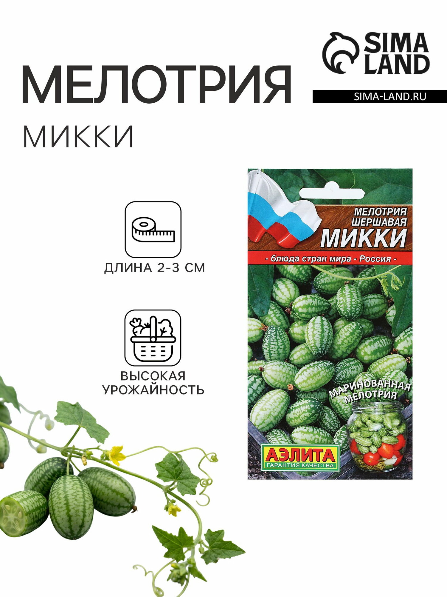 Семена Мелотрия, по форме куста: ампельная, цветение период: август