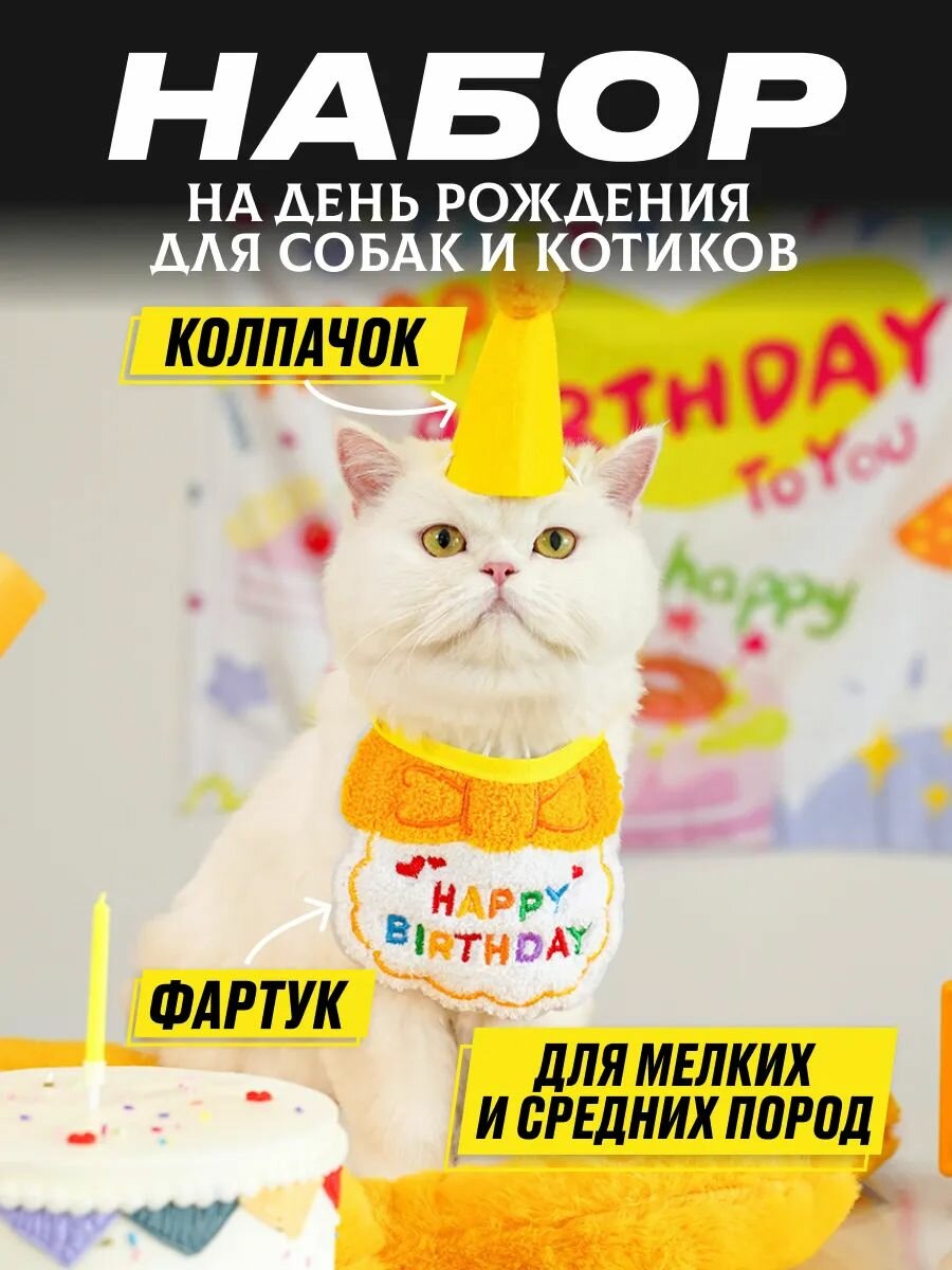 Колпачок и ошейник для кошек и собак колпачок для животных ошейник для собак аксессуары для кошек