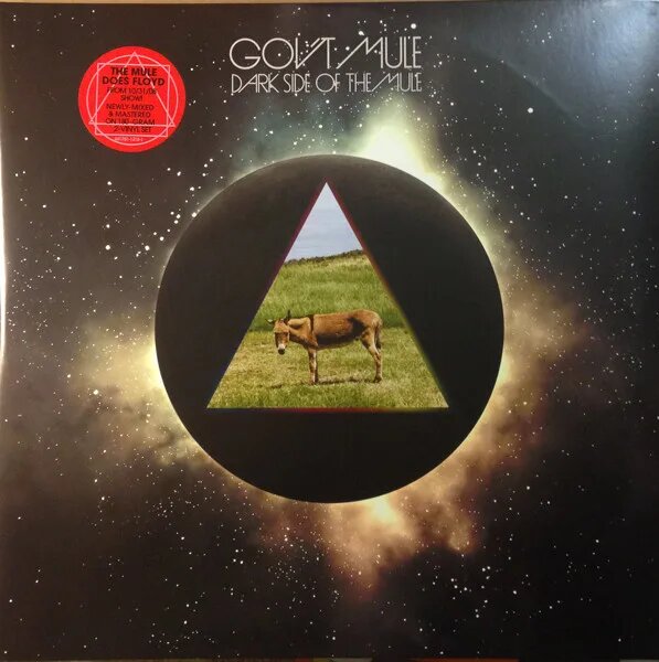 Dark Side Of The Mule