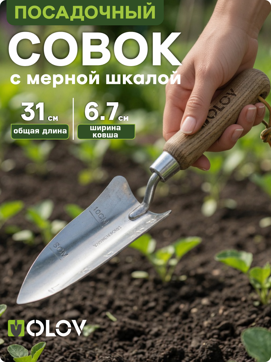 Совок садовый `OLOV Эколайн посадочный узкий, нержавеющая сталь с деревянной ручкой