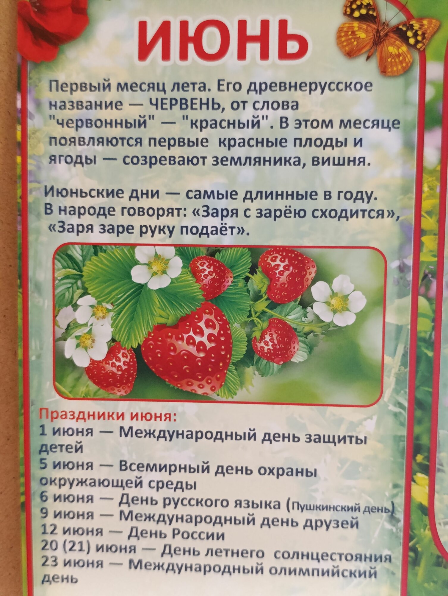 Плакат "Лето" 48*68см — фото 1