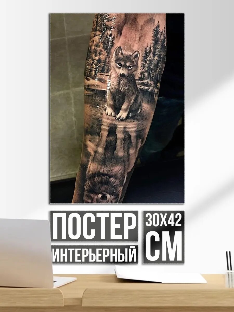 Плакат постер Волк и лес