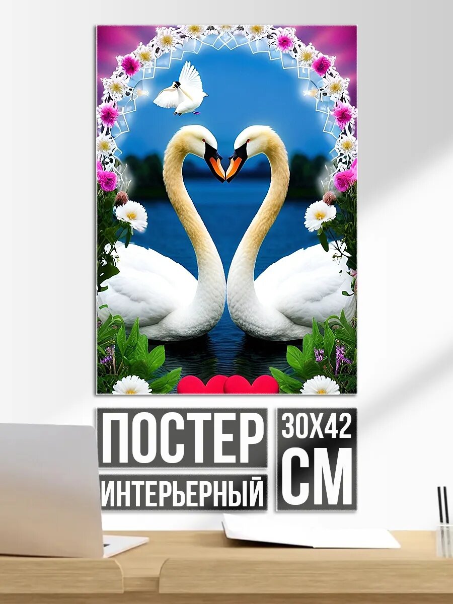 Плакат постер Два лебедя в форме сердца
