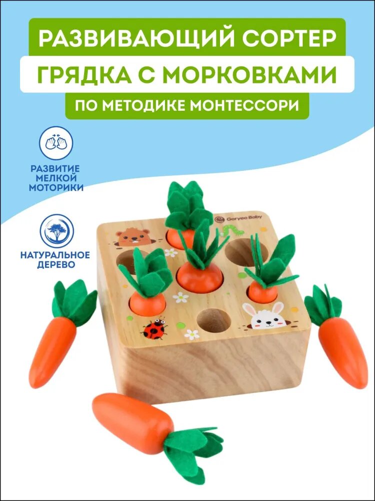 Сортер