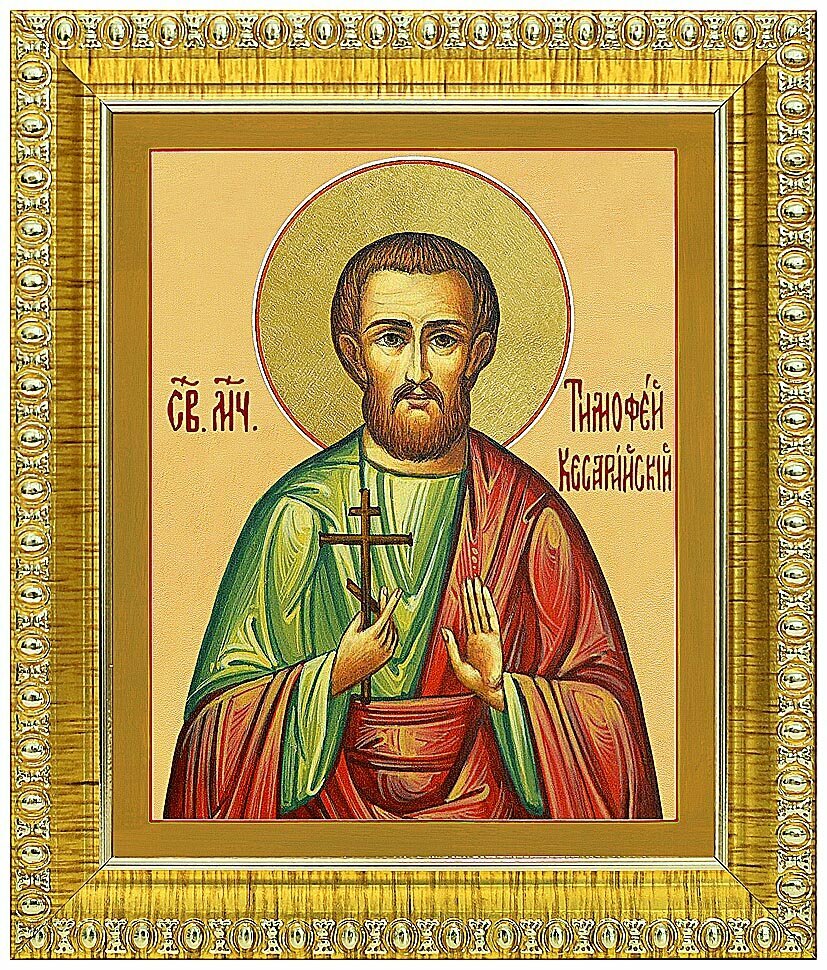 Мученик Тимолай (Тимофей) Кесарийский (Палестинский), икона в золотой пластиковой рамке 12,5*14,5 см
