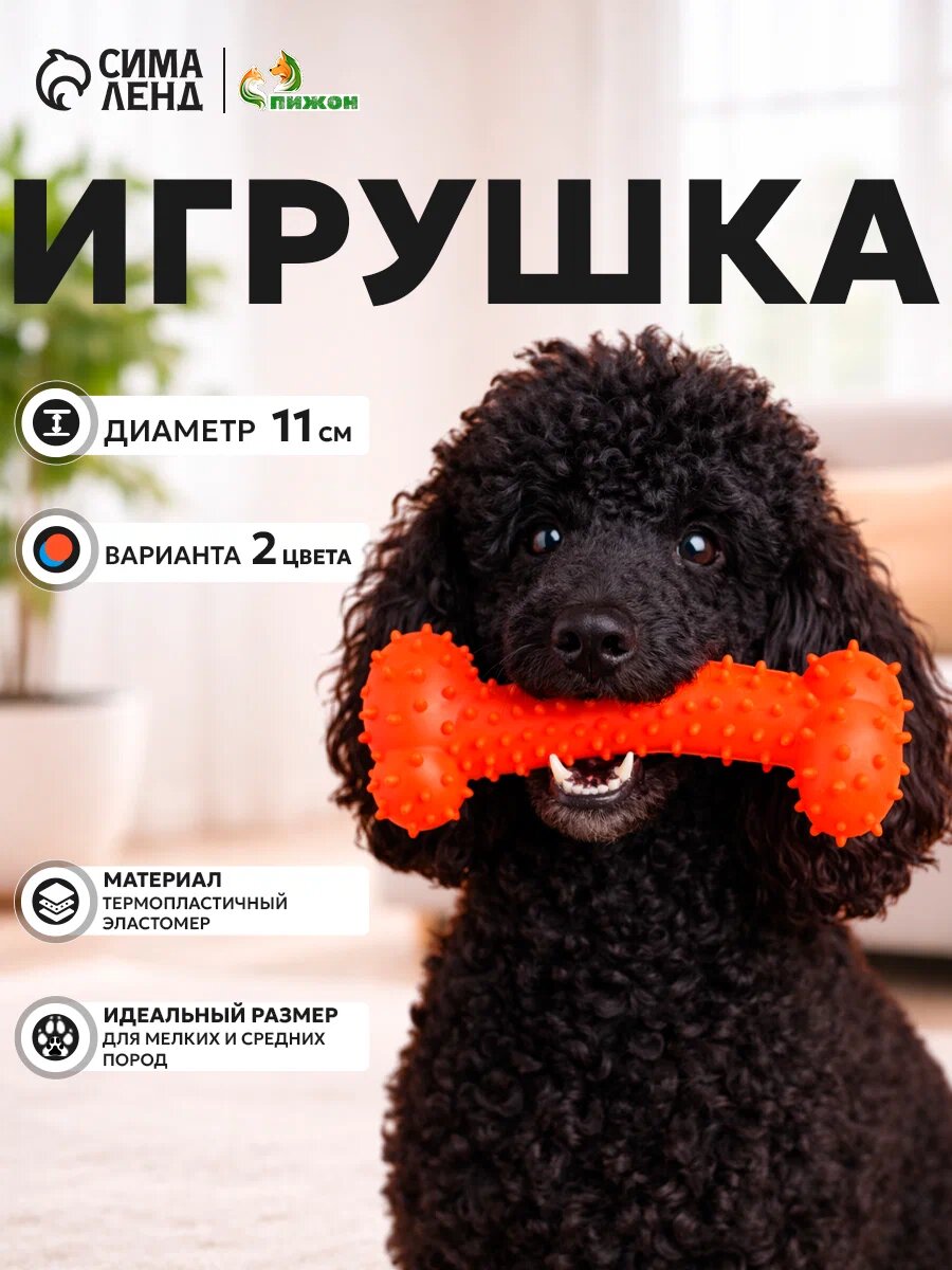 Игрушка жевательная Пижон "Любимое Лакомство", для собак, из термопластичной резины, 11 см, оранжевая, 1 шт