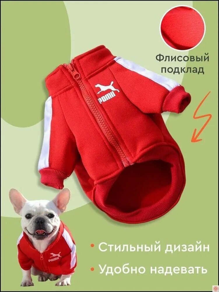 Одежда для животных — фото 1