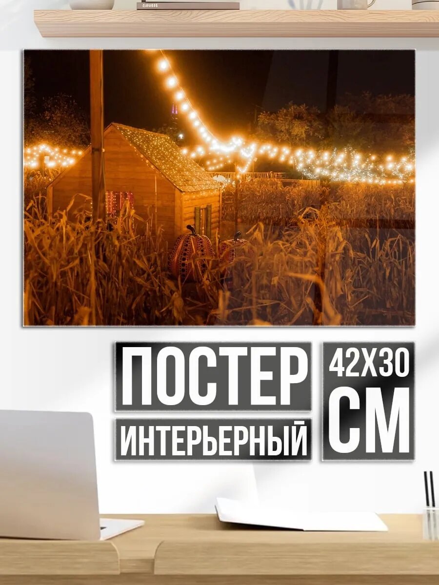 Плакат постер Ночной кукурузник