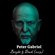 Peter Gabriel - Bright & Dark (2023) (Запись на CDR) (CD)