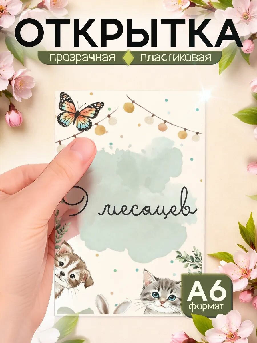 Карточки для фотосессии новорожденных по месяцам