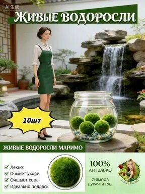 Живые водоросли 10 шт с круглым прозрачным сосудом для аквариума и флорариума