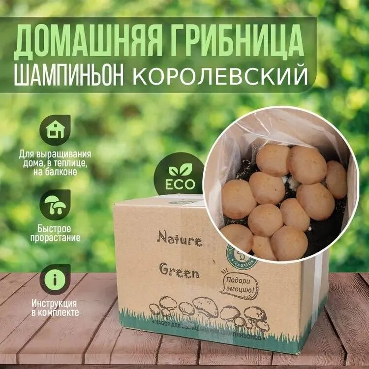 Выращивание шампиньонов / домашняя грибница компост "Шампиньон Королевский" / грибница
