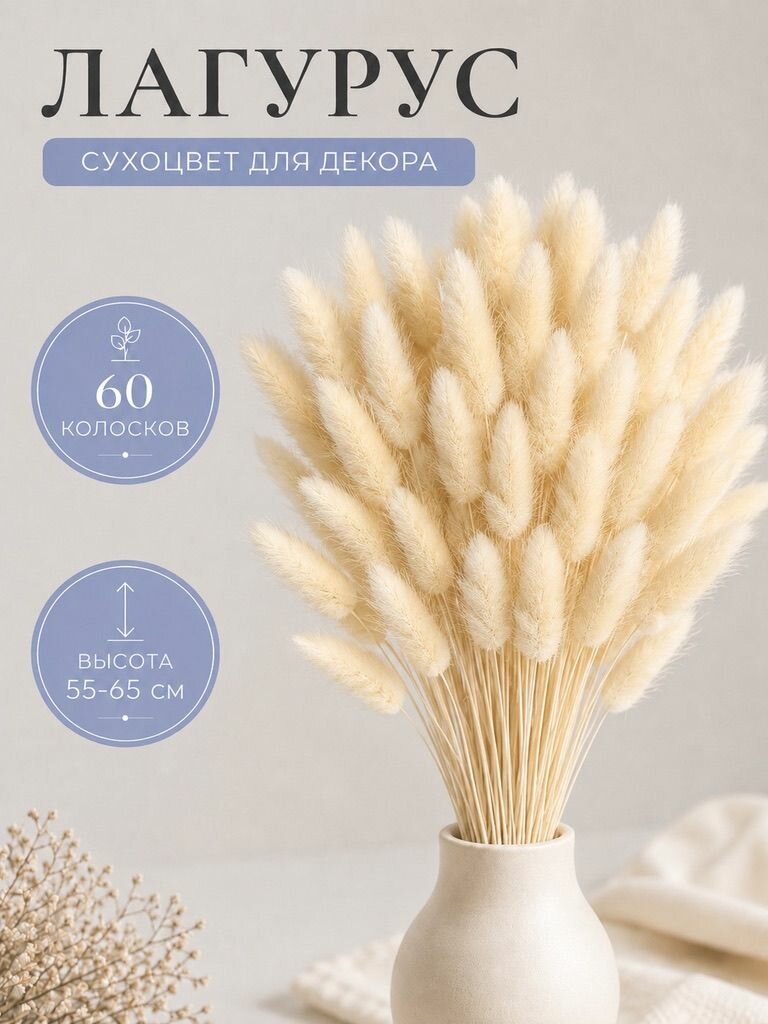 Лагурус сухоцвет для декора зайцехвост