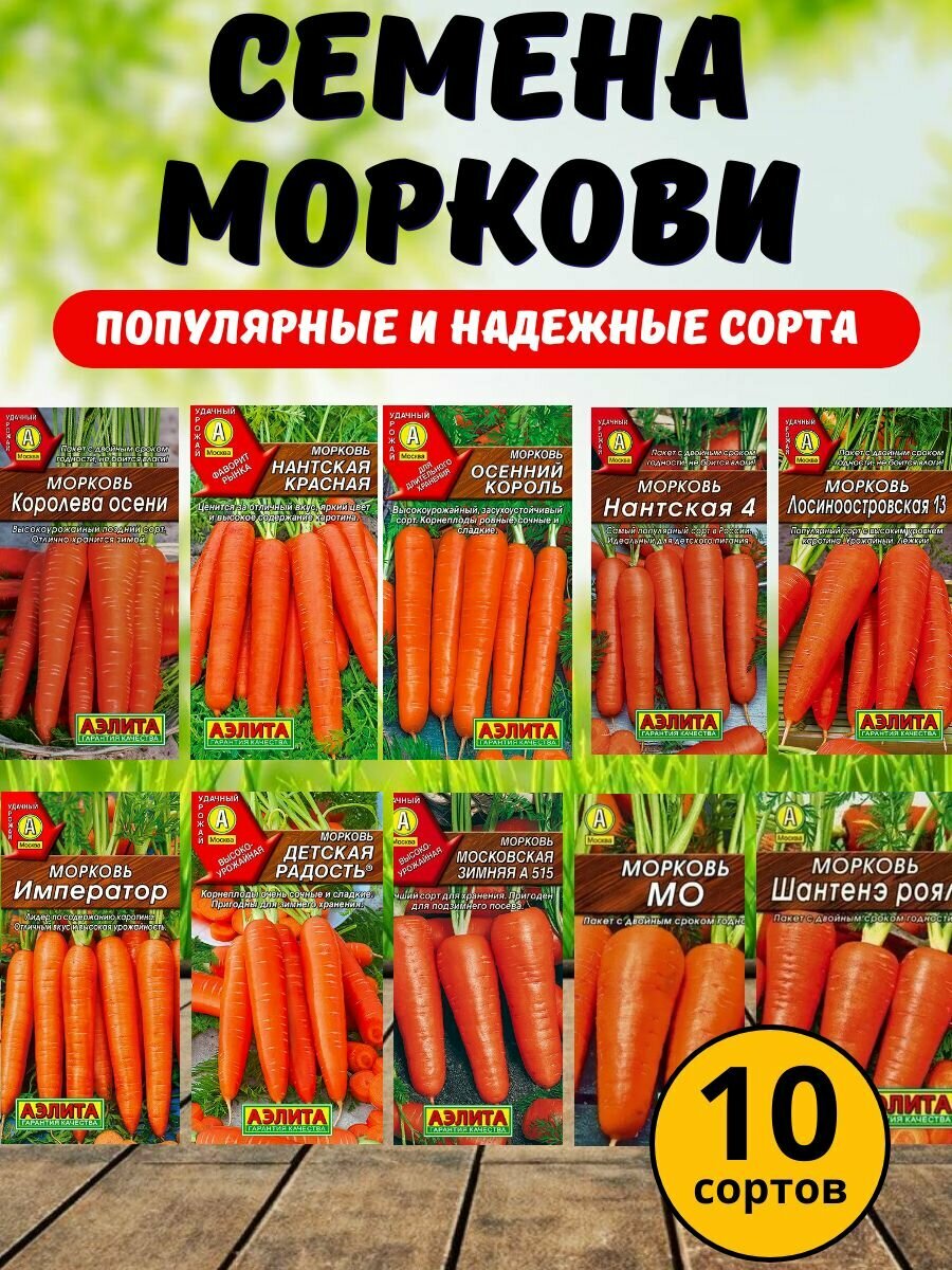 Набор семян моркови 10 сортов для посадки для огорода