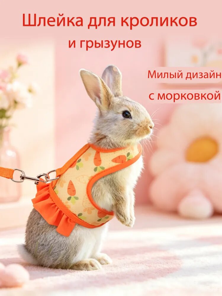 Одежда кролика для животных — фото 1