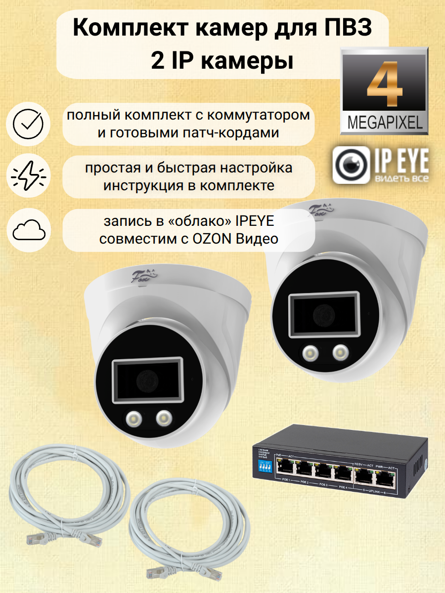 Комплект облачного видеонаблюдения для ПВЗ из 2 камер с сервисом IPEYE / разрешение 4 Мп / микрофон / PoE