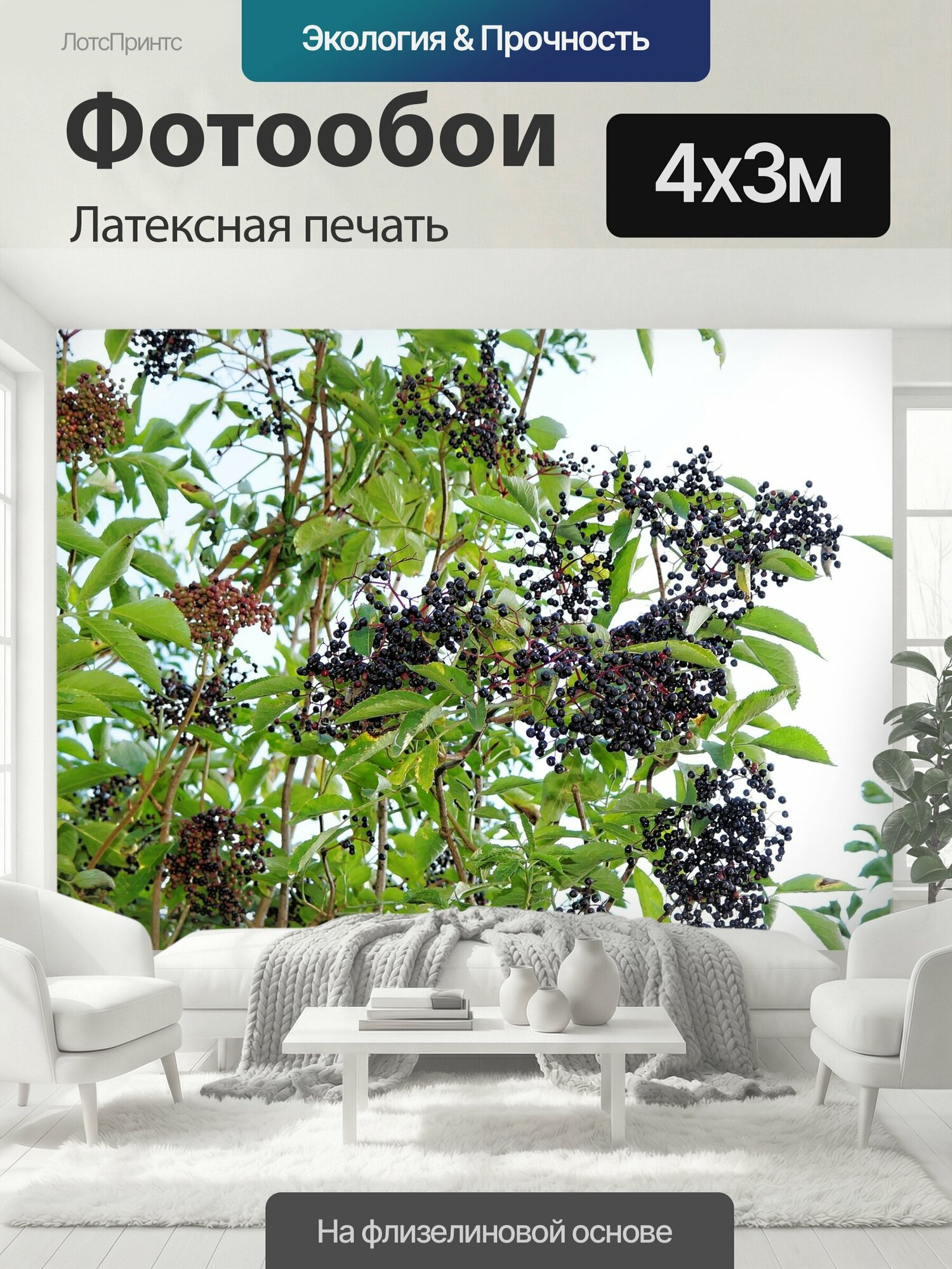 Фотообои моющиеся ударопрочные "Бузина, черный старейшина, сирень" 400x300 см. латексная печать