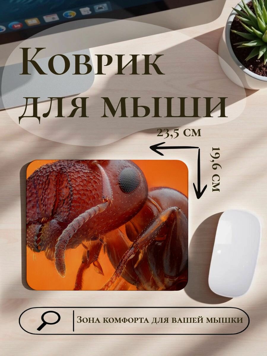 Коврик для мыши большеголовый муравей макро принт 230x195