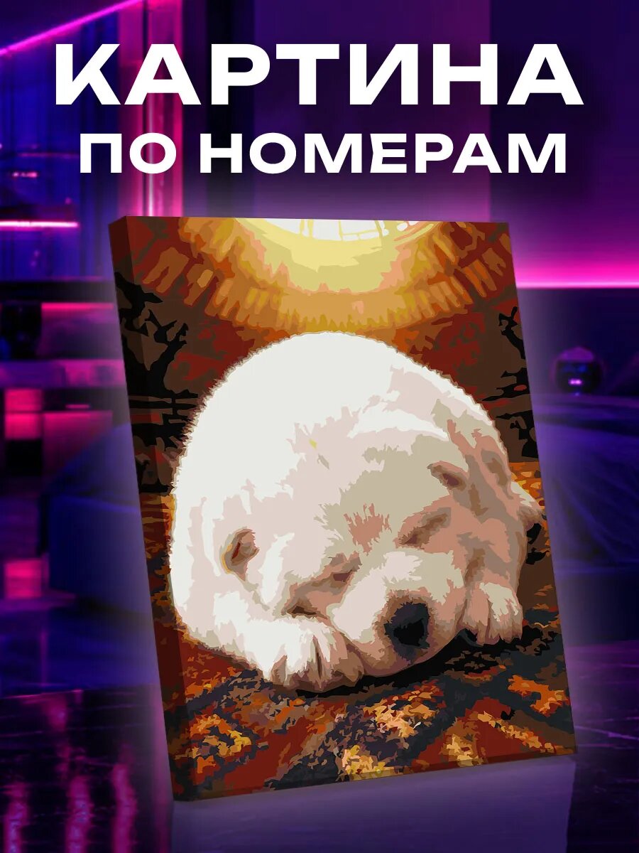 Картина по номерам щенок алабая на ярком ковре в интерьере