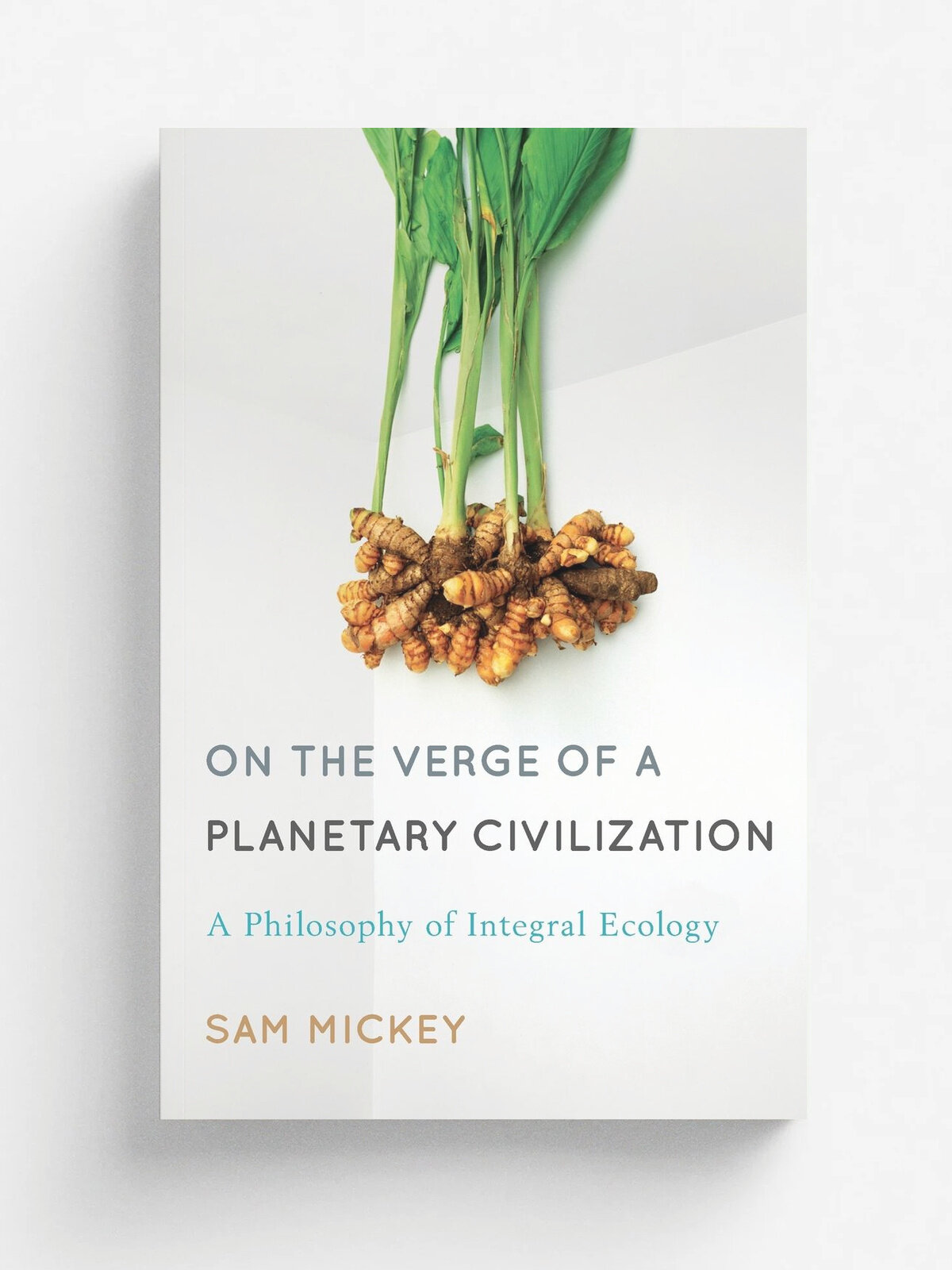 On the Verge of a Planetary Civilization. A Philosophy of Integral Ecology