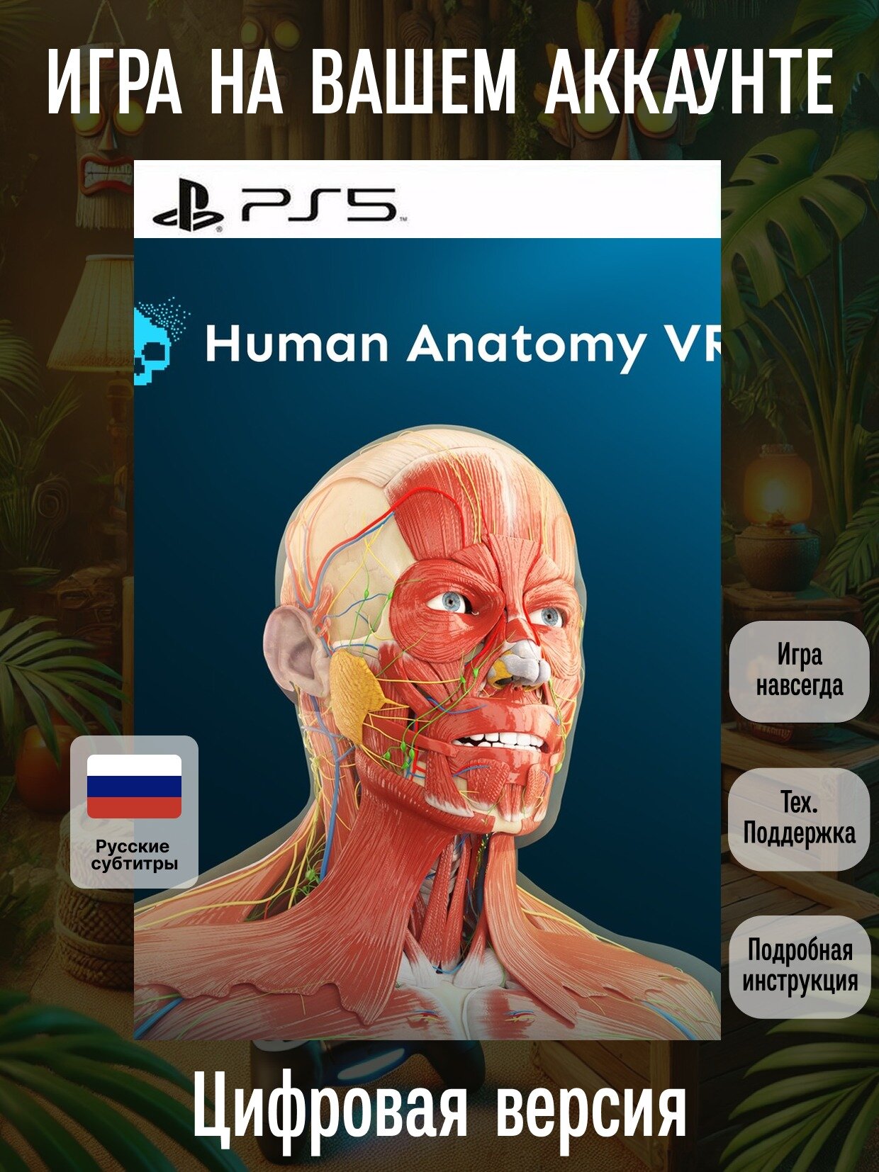 Human Anatomy VR | PlayStation | русские субтитры и интерфейс | Семейные