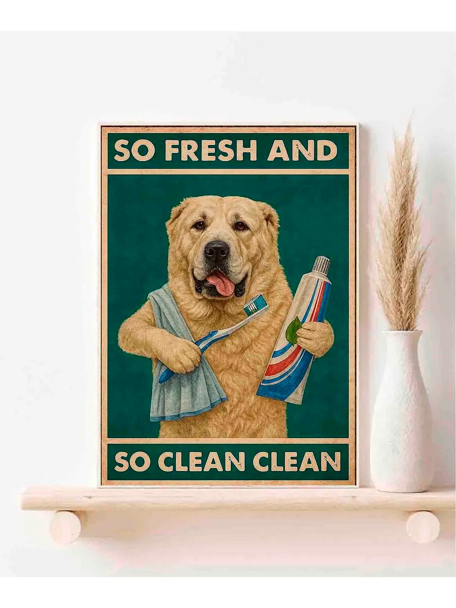 Среднеазиатская овчарка, So Fresh And So Clean Clean, Плака