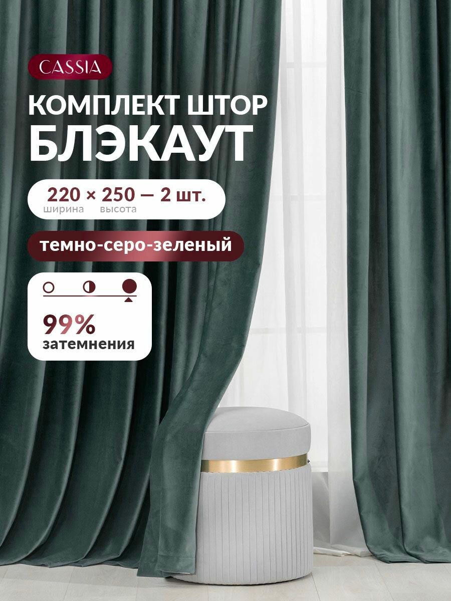 CASSIA Шторы для комнаты "Валлуар" блэкаут, бархат, 250 высота * 220 ширина, темно-серо-зеленые