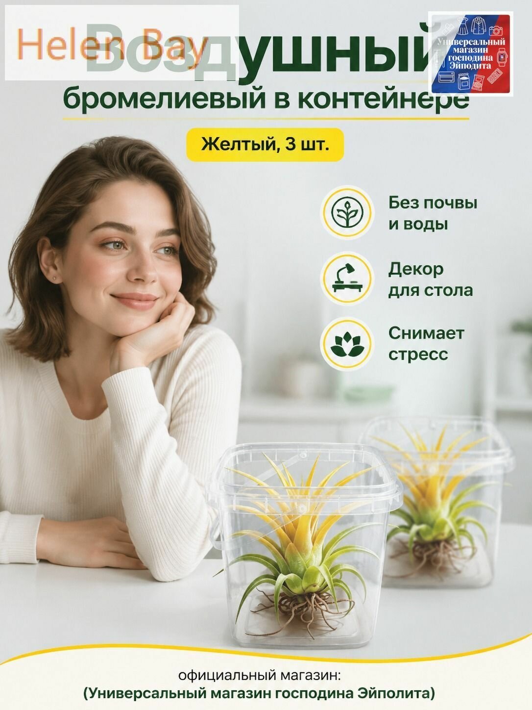 Набор воздушных ананасов Tillandsia из 3 предметов: жёлтые растения + прозрачный контейнер для наблюдения, 5 8 см