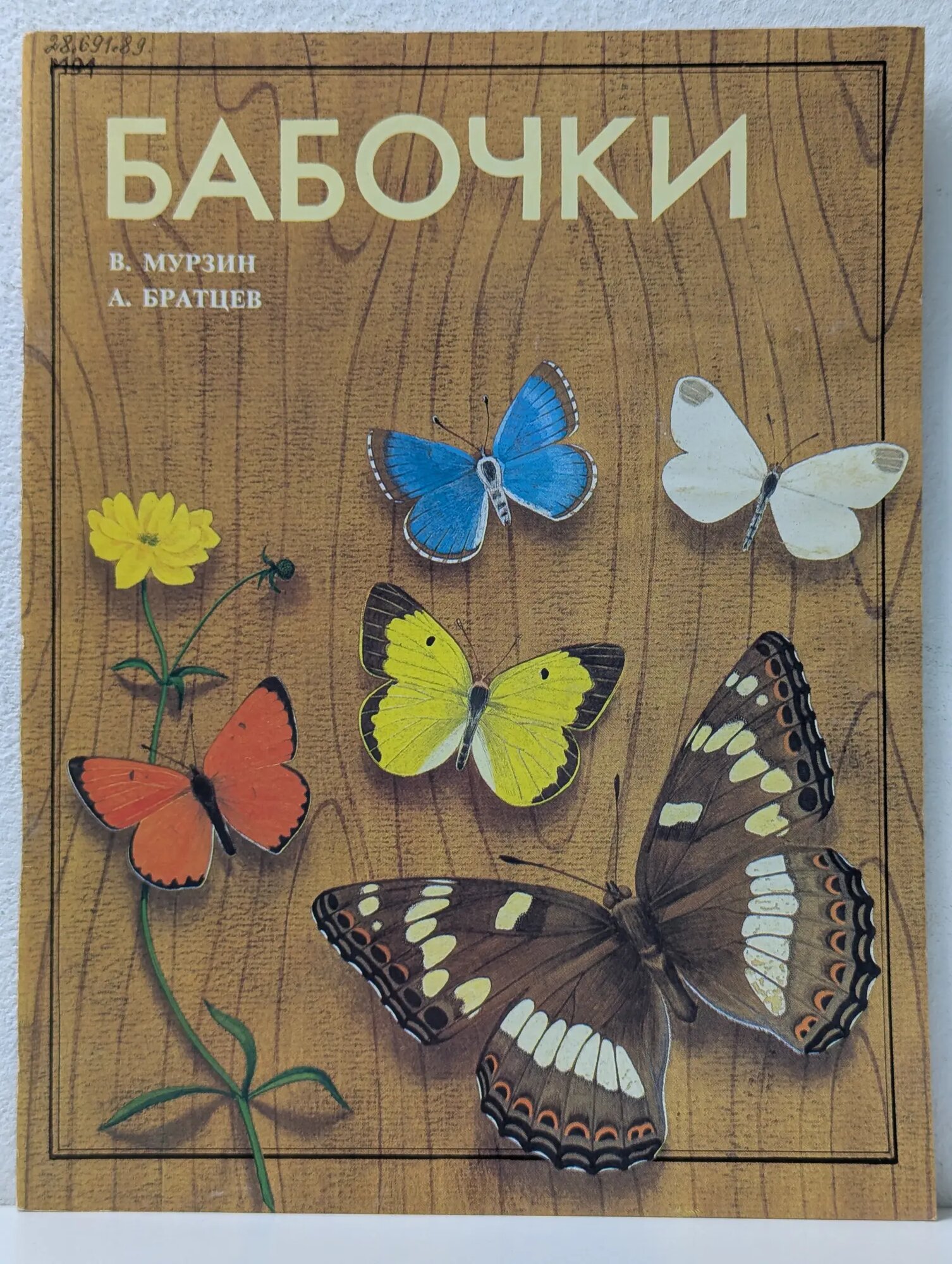 Музей чудес природы. Бабочки Мурзин Владимир Сергеевич 1993