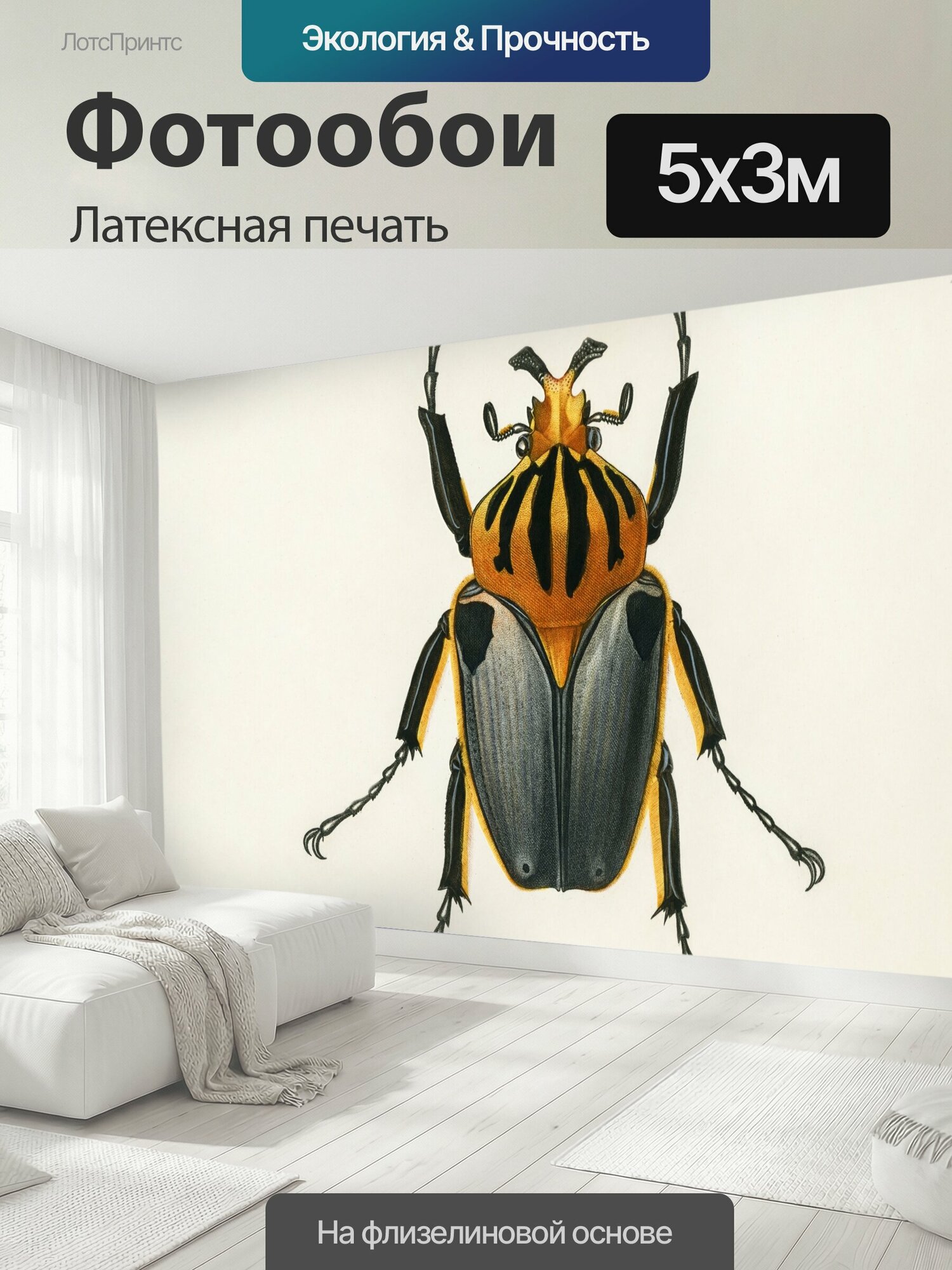Фотообои моющиеся ударопрочные "Жук винтаж арт старый Жук Голиаф Касик Насекомое Винтажное искусство Старая антикварная живопись Рисунок Классная." 500x300 см. латексная печать