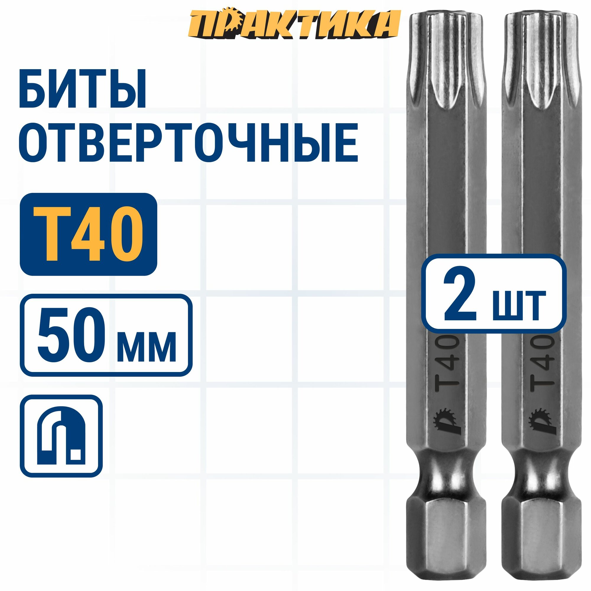 Биты для шуруповертов / бита отверточная ПРАКТИКА "Профи" Torx Tamper-40 х 50мм (2шт)
