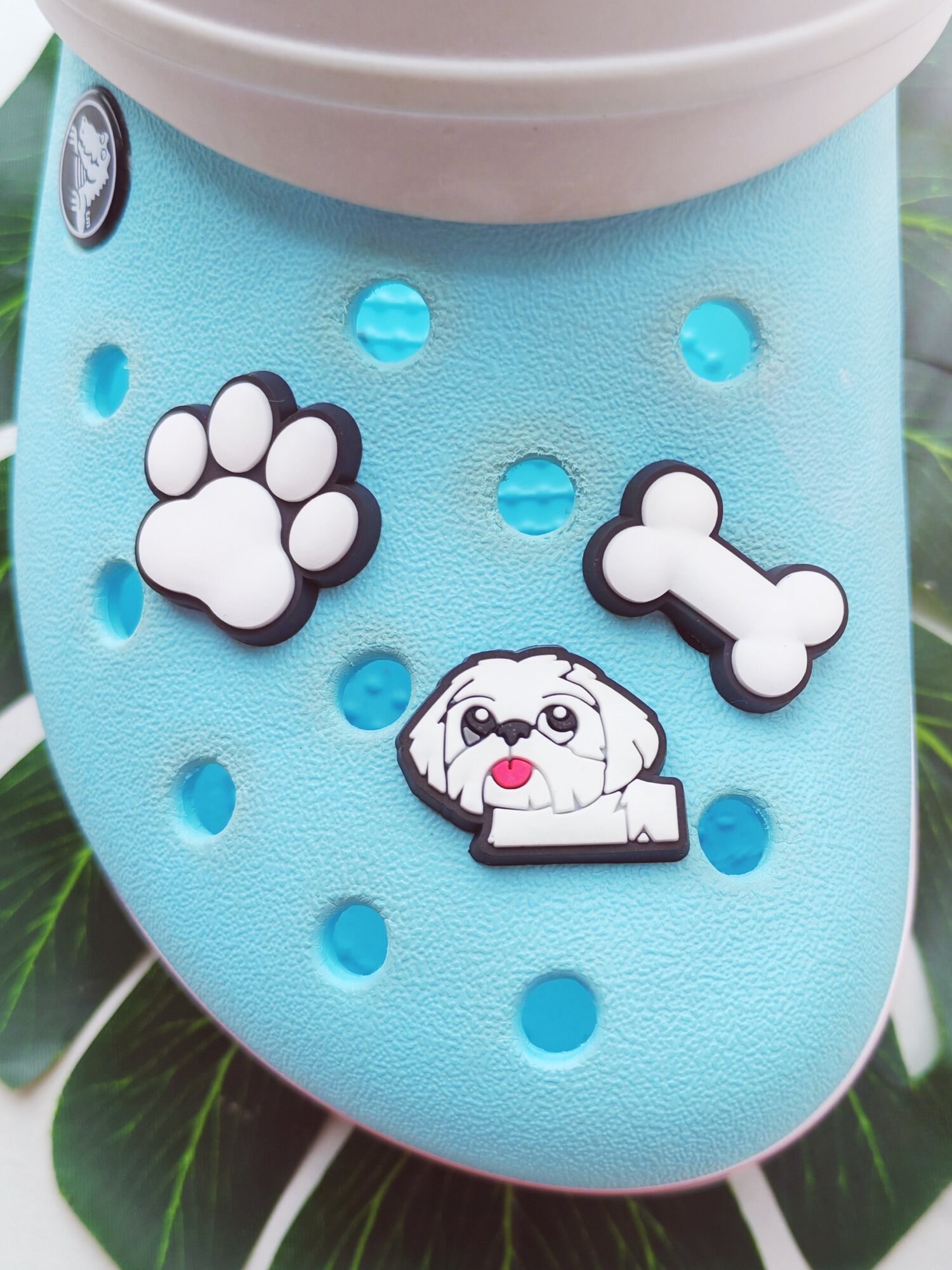 Джибитс мальтипу болонка на Crocs собака косточка