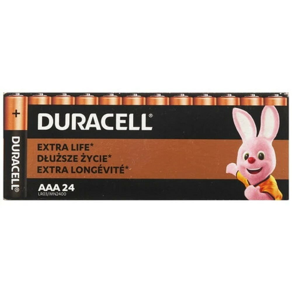 Батарейки Duracell B0064969 1.5В 24 шт.