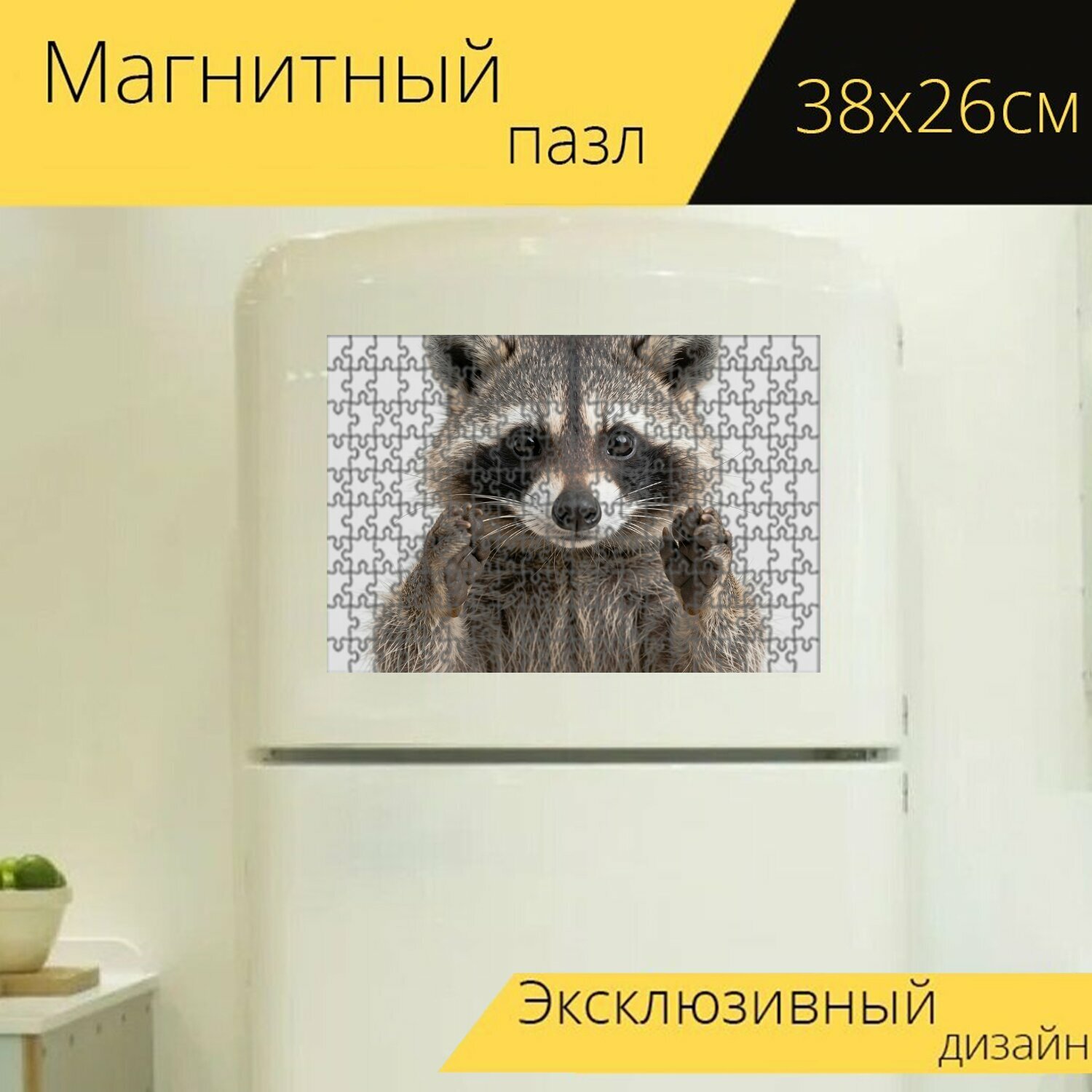 Магнитный пазл "Милый енот на светлом фоне. Фотореалистичный зверёк с выразительными глазами и поднятыми лапками на нейтральном белом фоне. Мягкая серая." для интерьера, 38х26 см.