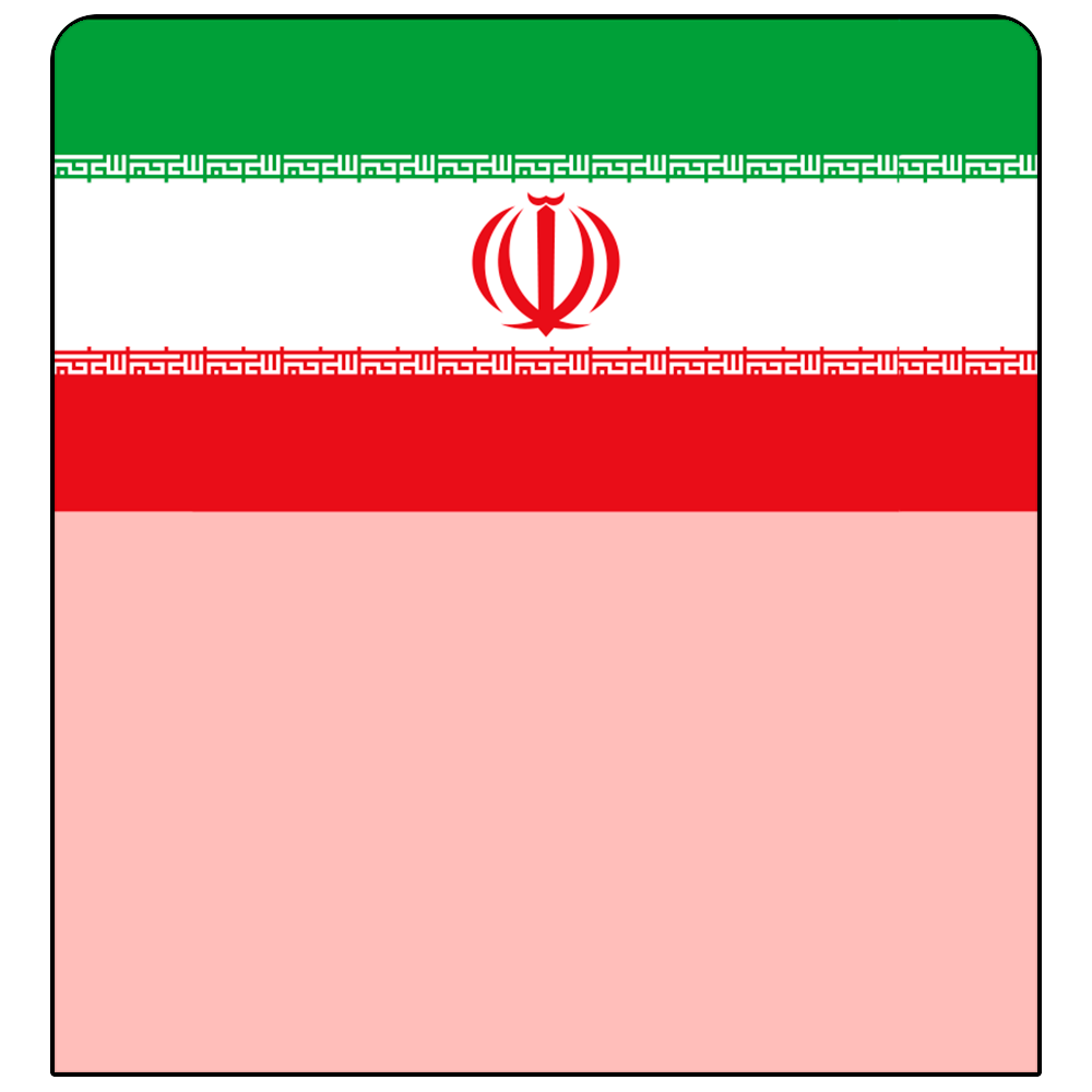 Шелфстоппер (шелфтокер) stpos флаги (Иран) из ПЭТ 0,3мм в ценникодержатель, 70х75 мм, розовый