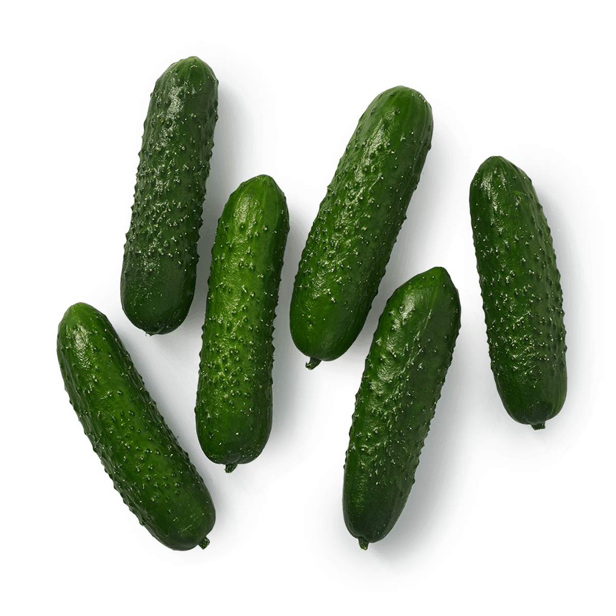 Огурцы «Из Лавки», короткоплодные, хрустящие, 0,3 кг, 1 упаковка