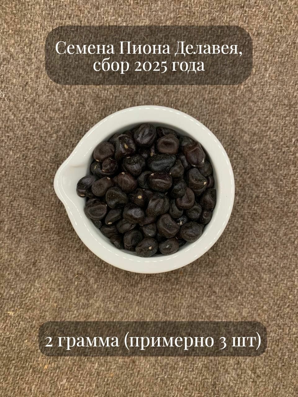 Семена Пиона Делавея, 2 грамма (примерно 3 шт)