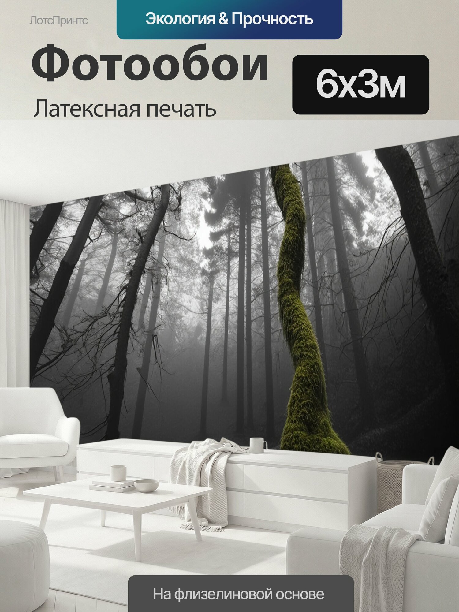 Фотообои моющиеся ударопрочные "Черно-белая фотография леса в тумане, деревья с искривленными стволами и ветками, покрытые мхом" 600x300 см. латексная печать