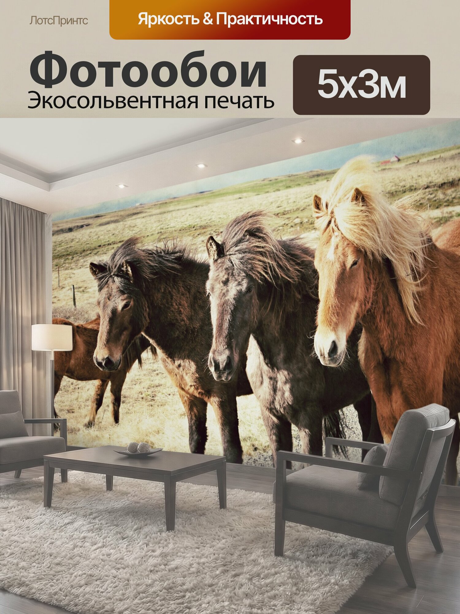Фотообои "Лошади, исландские лошади, исландия" 500x300 см. экосольвентная печать