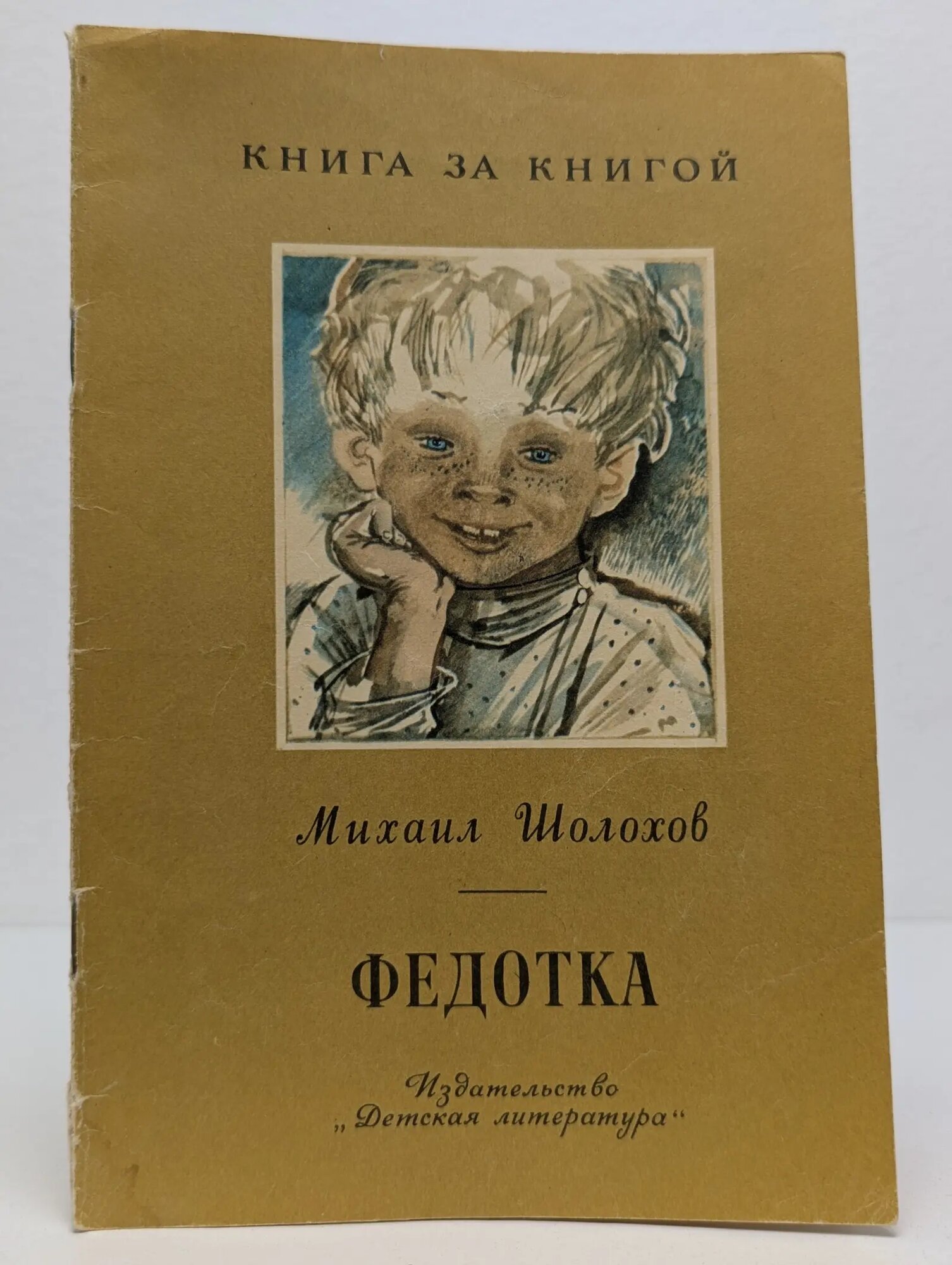 Школьная библиотека. Федотка Шолохов Михаил Александрович 1979
