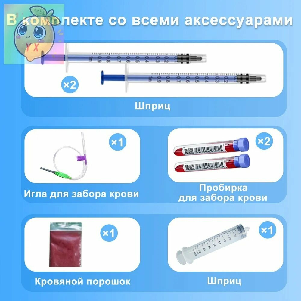 Анатомическая модель — фото 1