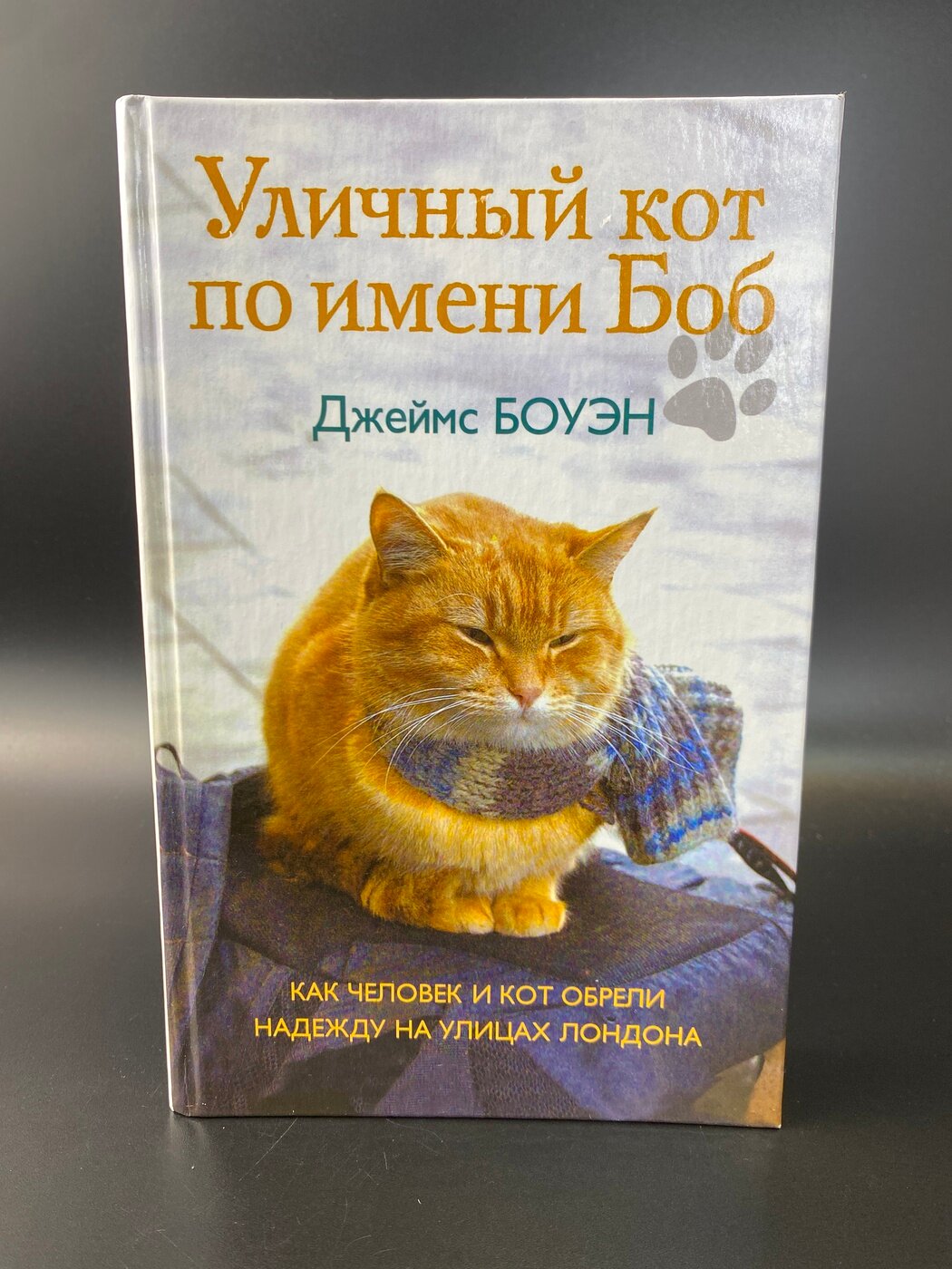 Уличный кот по имени Боб. Как человек и кот обрели надежду на улицах Лондона. Боуэн Дж.