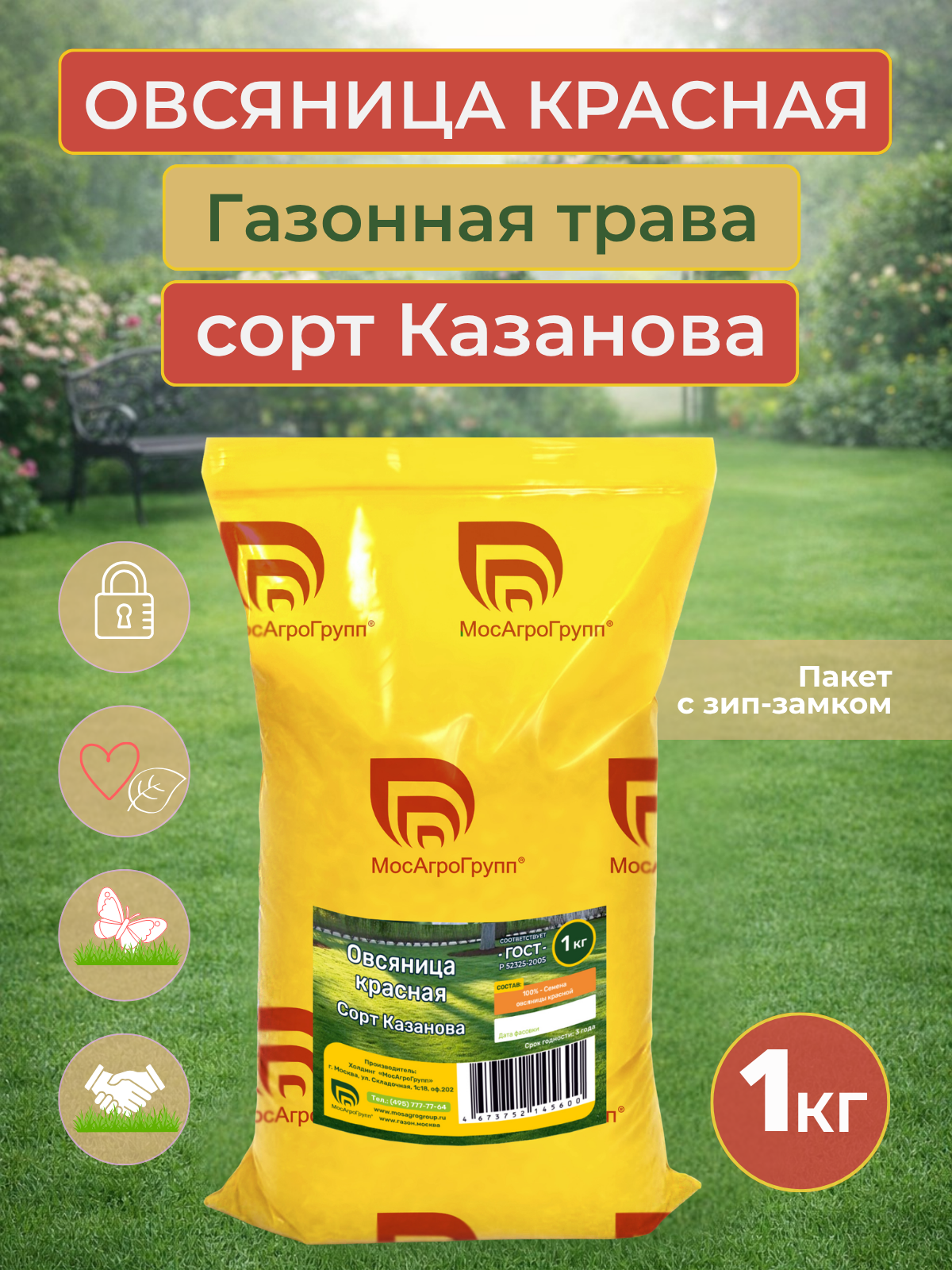 Семена красной овсяницы 1кг сорт Казанова Мосагрогрупп газонная трава многолетняя