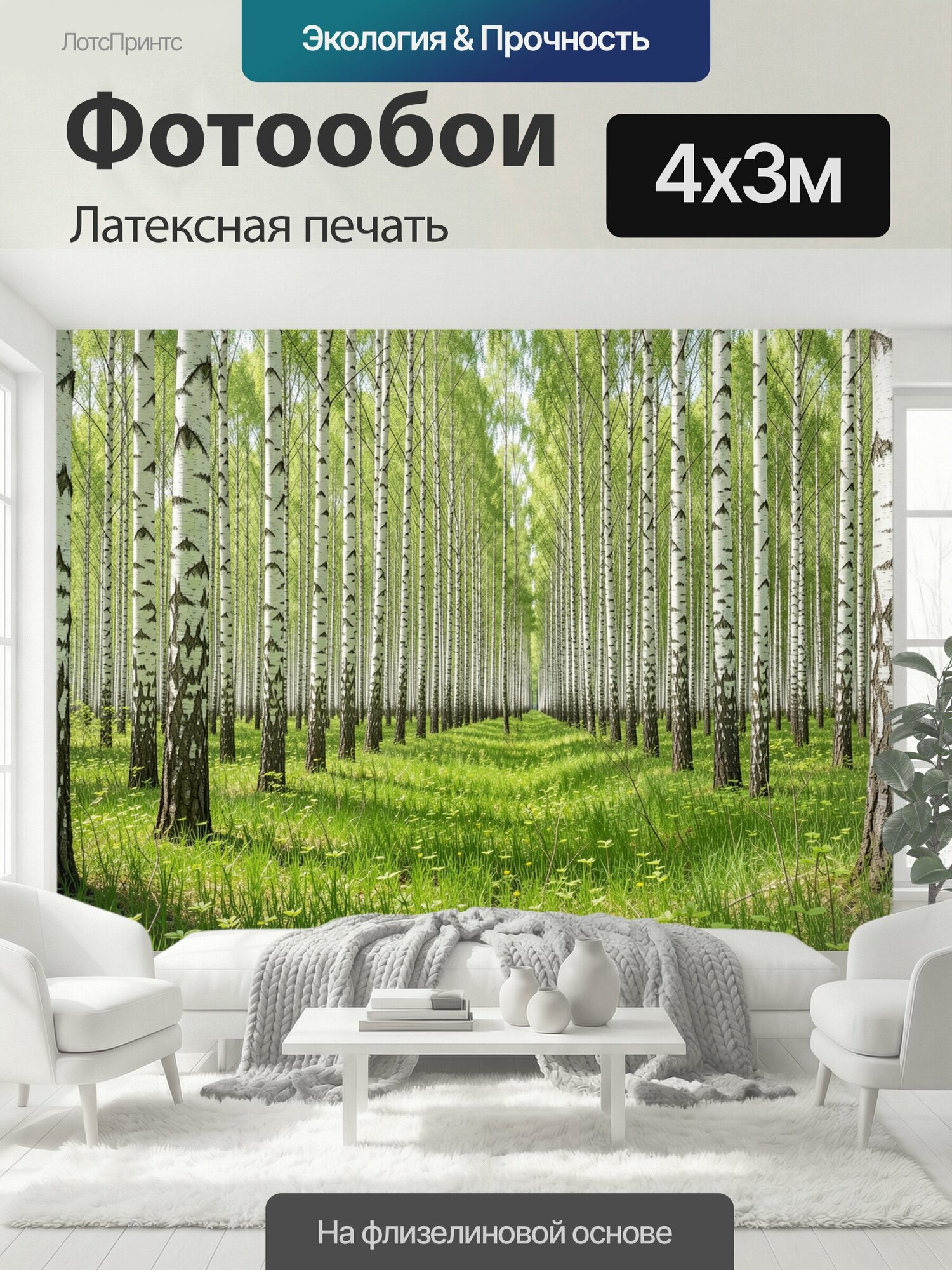 Фотообои моющиеся ударопрочные "Березовая роща с зеленой поляной. Светлый лесной пейзаж с высокими белоствольными деревьями, молодой травой и." 400x300 см. латексная печать