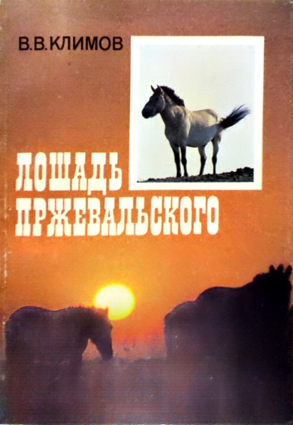 Лошадь Пржевальского. Климов В. В. Агропромиздат. 1990. Мягкая обложка. 254 стр