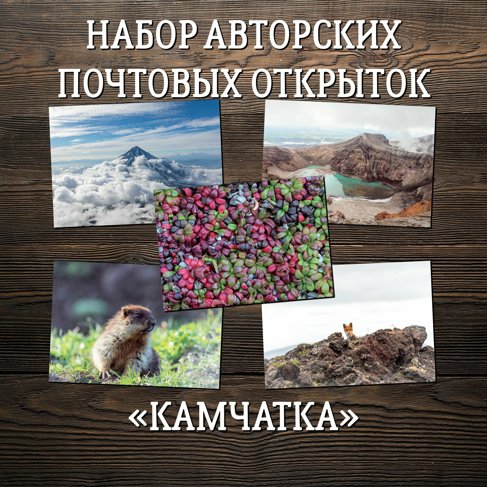Набор авторских почтовых открыток для посткроссинга "Камчатка"