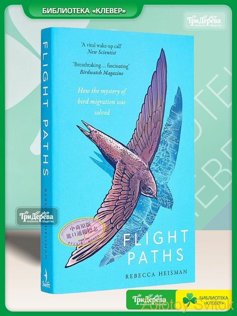 Книга Flight Paths: Rebecca Heisman, мягкая обложка, энциклопедия, 2024 г.