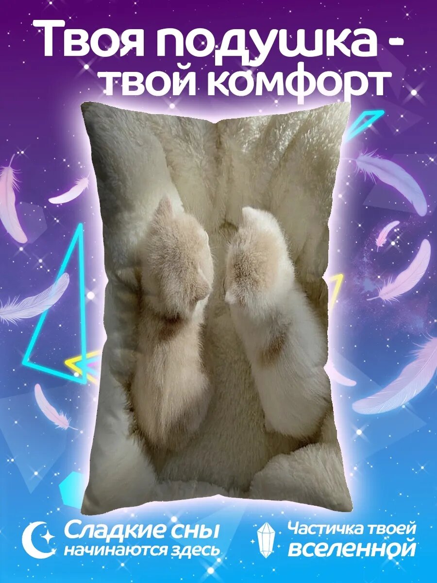 Подушка дакимакура Два милых котенка