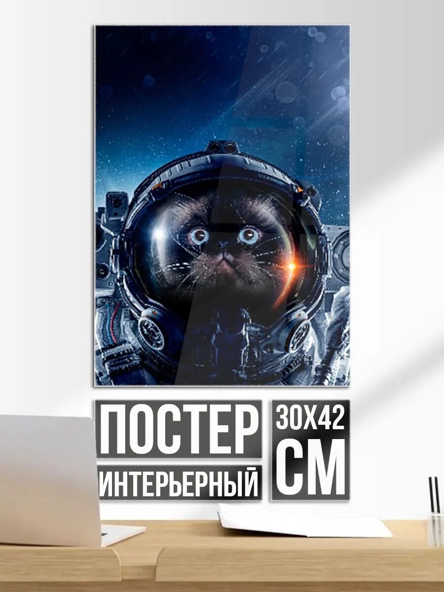 Постер на стену Кот космонавт